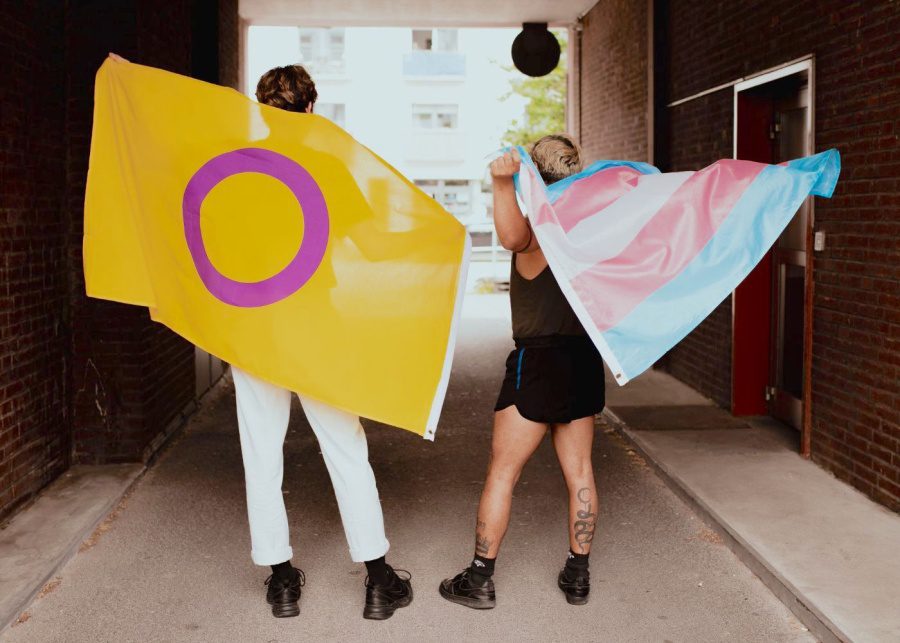 20 LGBTQ+ terms that you need to know | Honeycombers