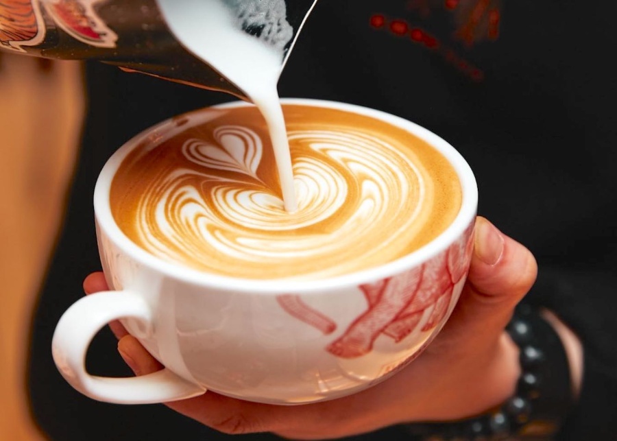 Best Hong Kong cafes! (as judged by coffee snobs) | Honeycombers
