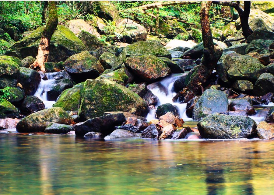 Your Tai Po guide: Things to do and explore | Honeycombers