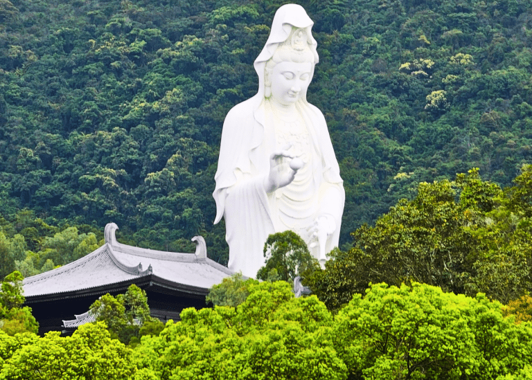 Your Tai Po guide: Things to do and explore | Honeycombers