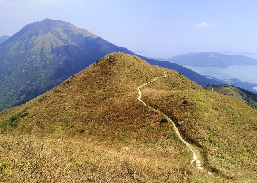 The 14 best things to do in Lantau | Honeycombers