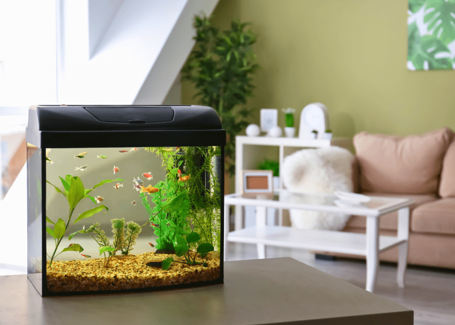 8 feng shui tips to usher in the new year | Honeycombers