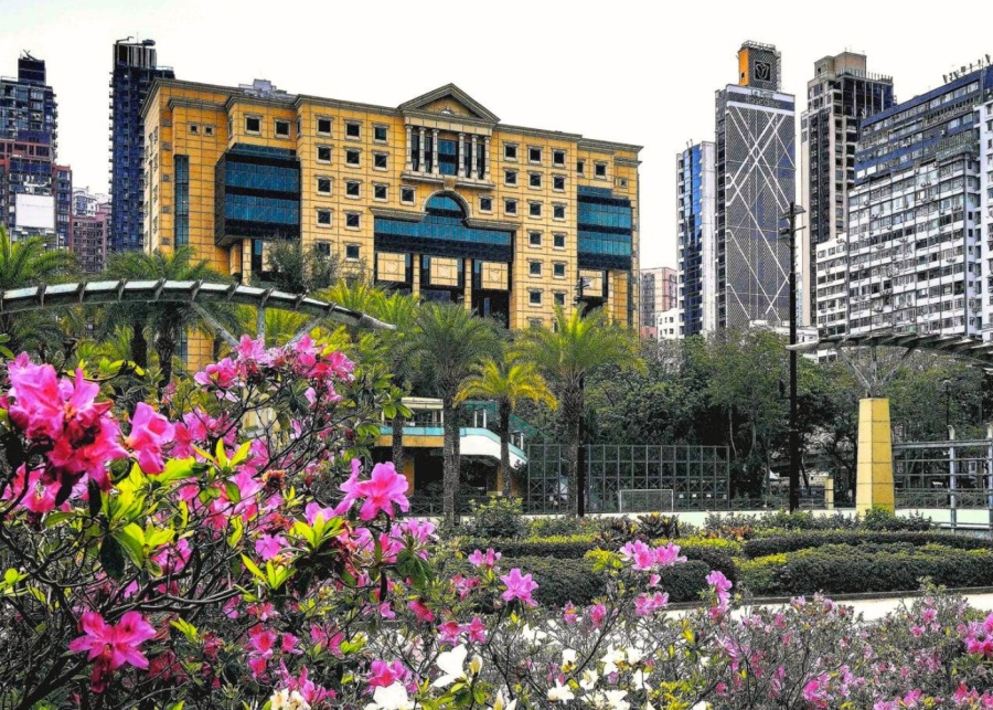 Your guide to public libraries in Hong Kong | Honeycombers