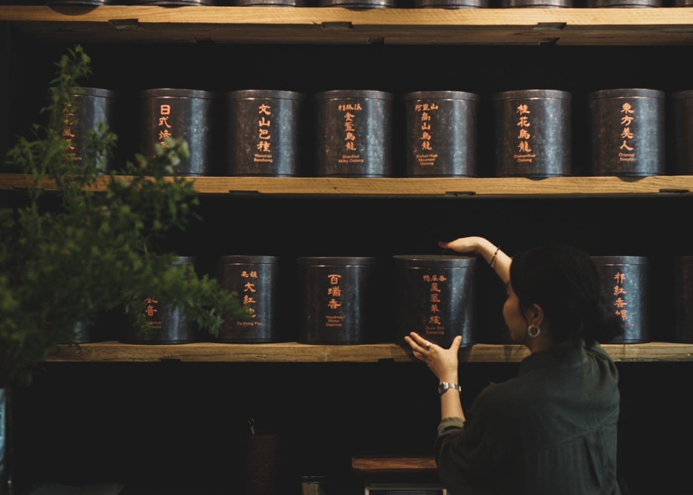 Best tea shops in Hong Kong: Where to buy tea and tea leaves