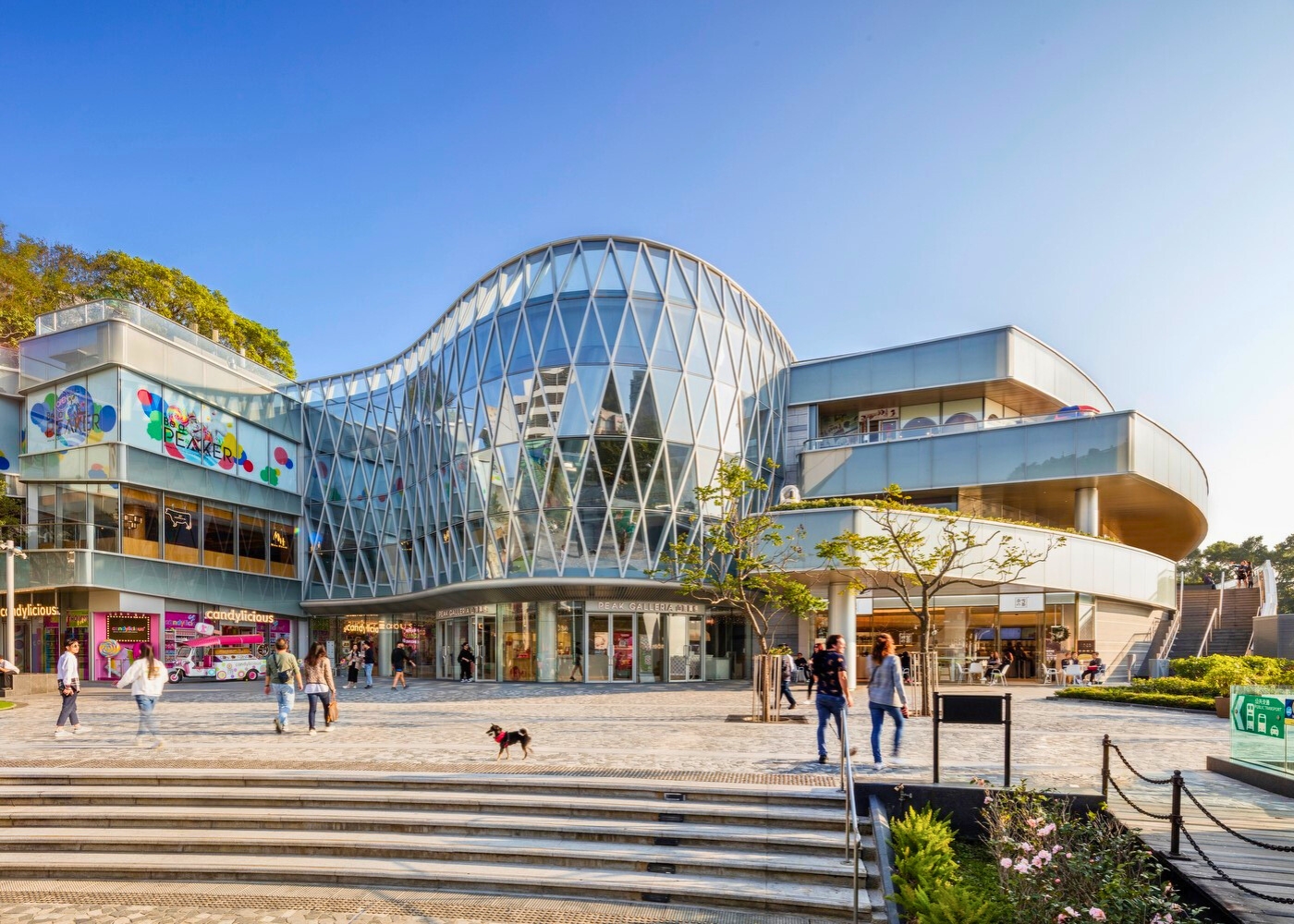 The Peak, Hong Kong: A local’s guide